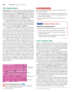 Anatomy & Physiology, The Unity of Form and Function 10th Edition by ...
