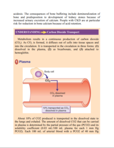 Porth’s Essentials of Pathophysiology 5th Edition PDF